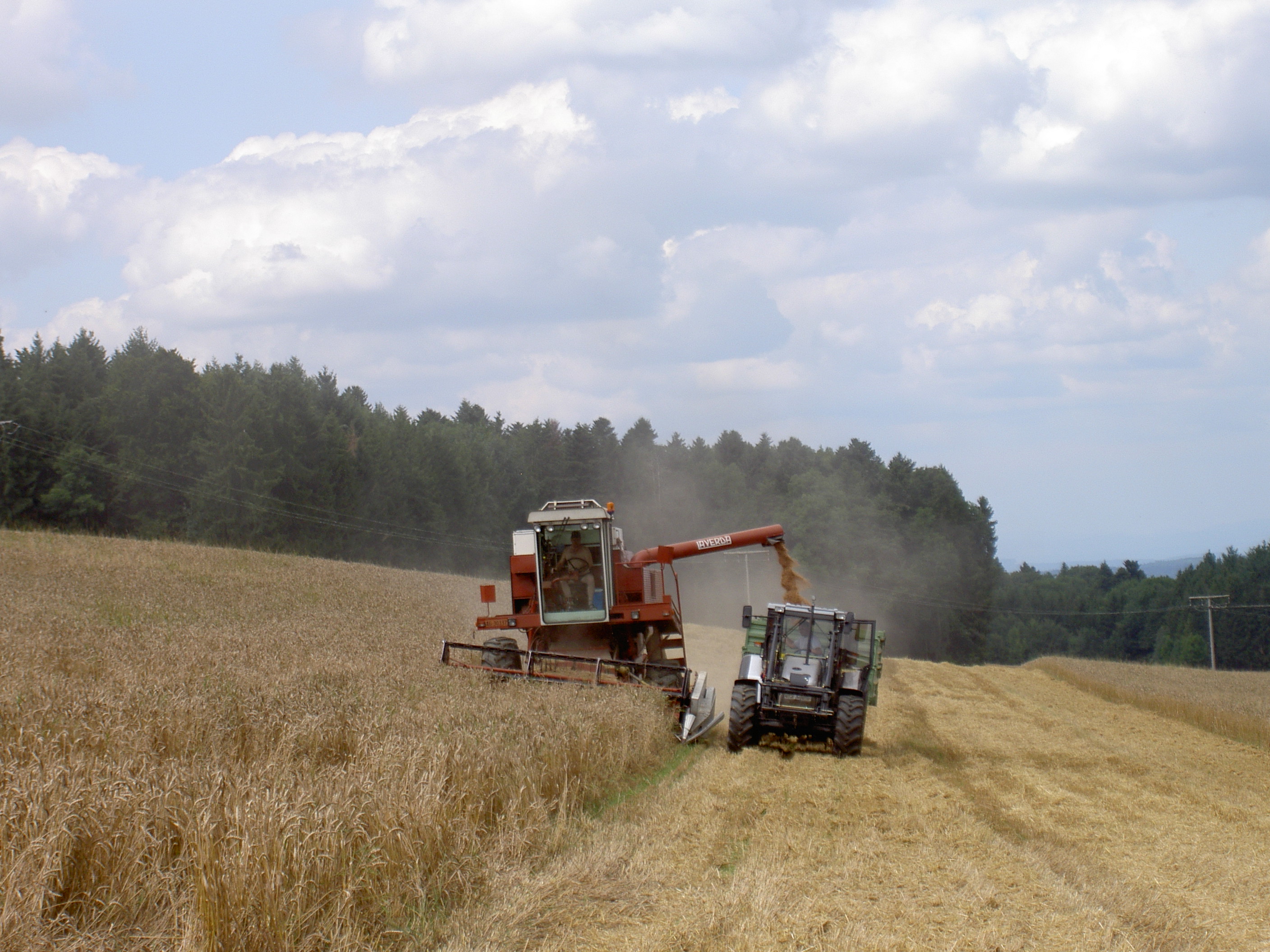 muri-erinnerungen - oldtimer-louis