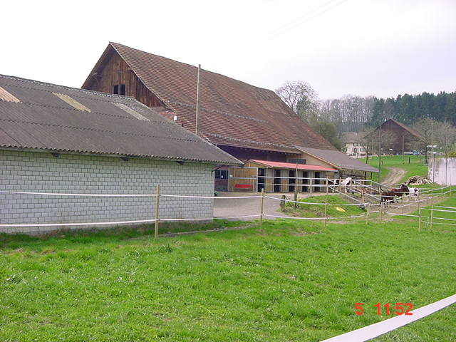 muri-erinnerungen - oldtimer-louis